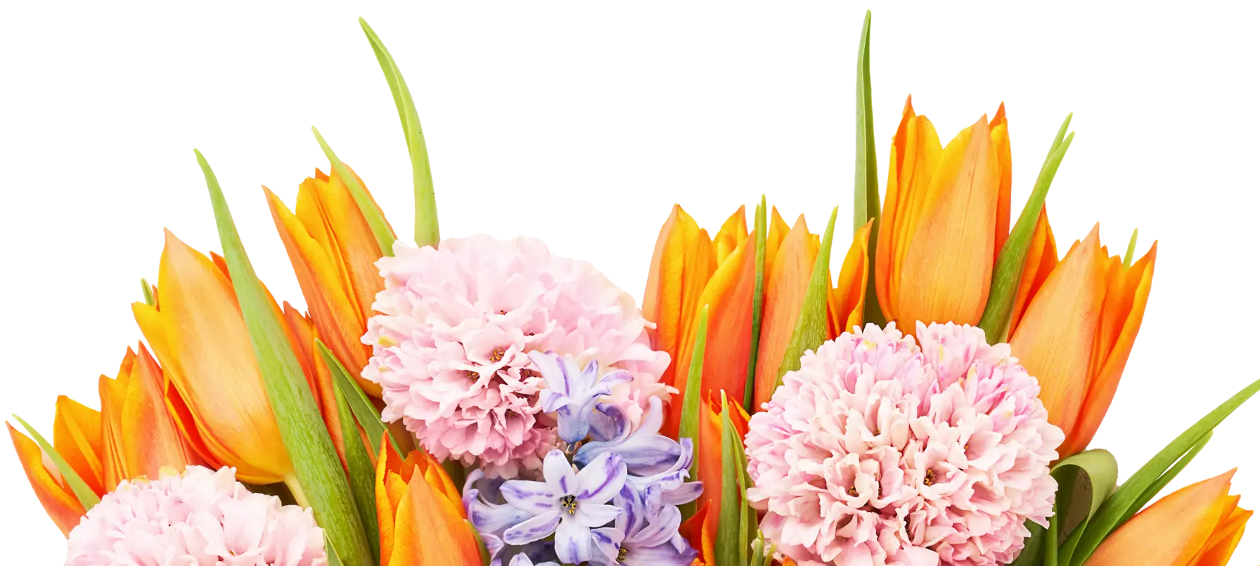 Direct Mail Florist Shops – BloomNation